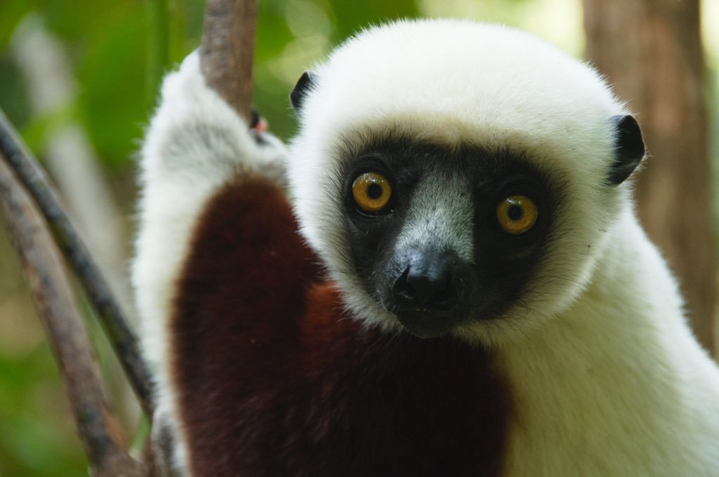 Viszlát Mid Range Model 3! - Villanyautósok